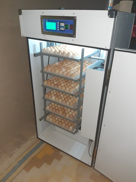 Инкубатор 500 яйца