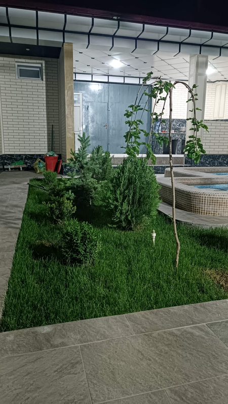Oqtosh dacha toza xavo (priroda) faqat oila un
