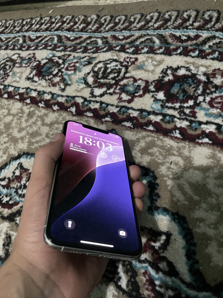 iPhone 11 pro max