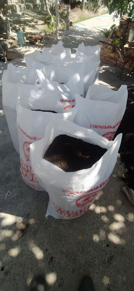 Biogumus Black Soil
