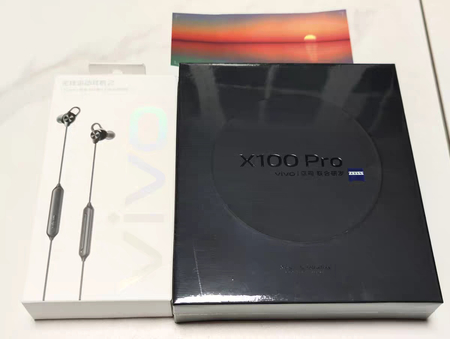 Vivo X100 Pro (New)