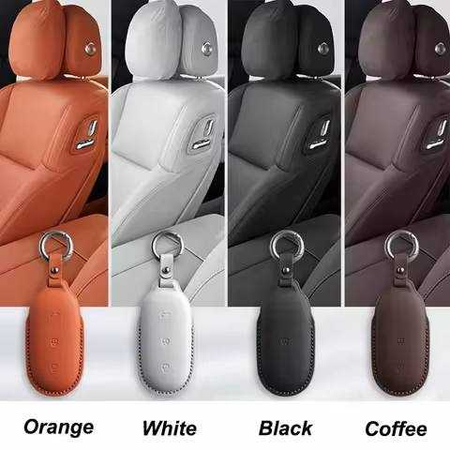 Lixiang. BYD. Zeekr  pult chexollar
