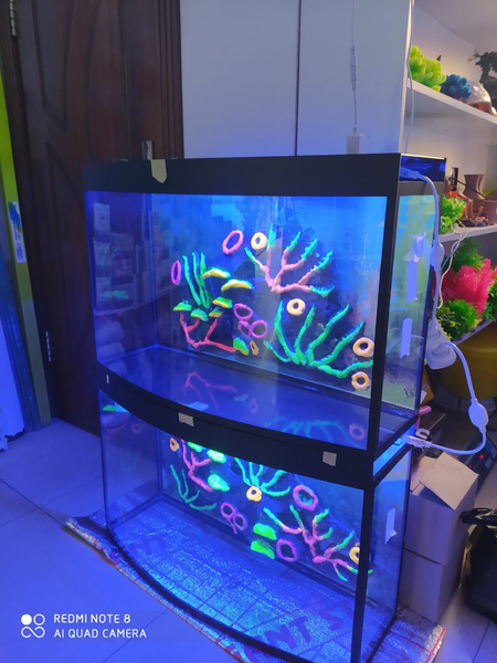 Akvarium Magazini