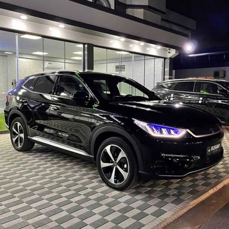 BYD song plus flokship