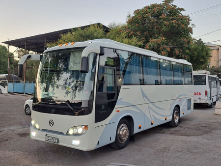 Golden dragon avtobus 2008 35+1 joyi