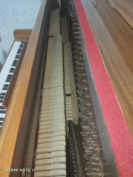 Riga pianino Sotiladi