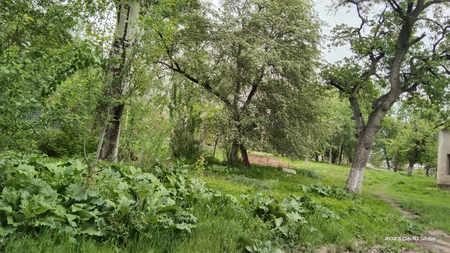 Ангрен. 7,7 га под застройку