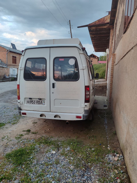 Gazel