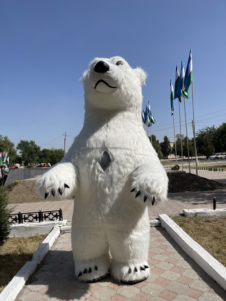 Медведи для поздравлений