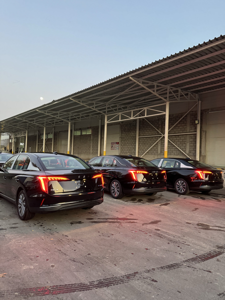 Hongqi E-QM5  500KM