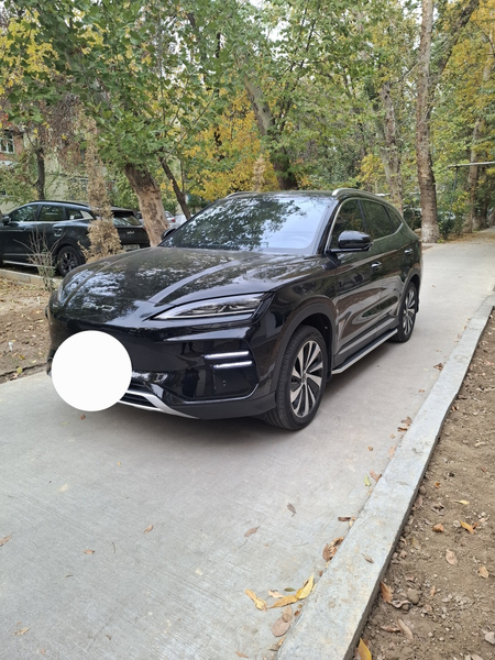 Byd chempion 605