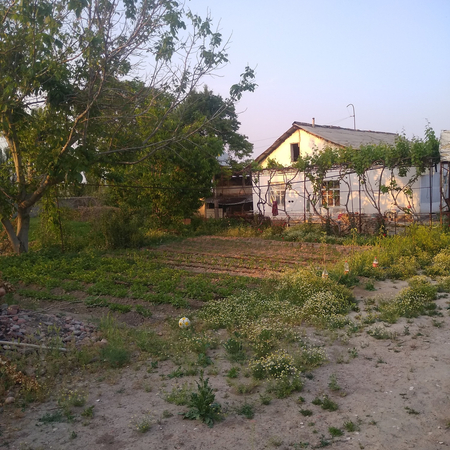Продаю дом на ташморе