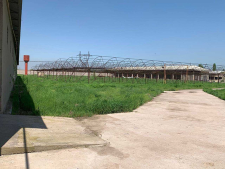 Ферма товук тухум йуналиши сотилади, продаётся пцицаферма на 40 000 го