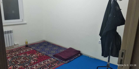 Yangi domga ijaraga qo'yiladi