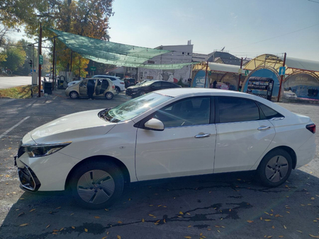 Nissan Venucia  d60