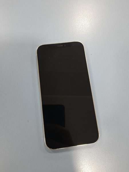 Apple iPhone 12 pro