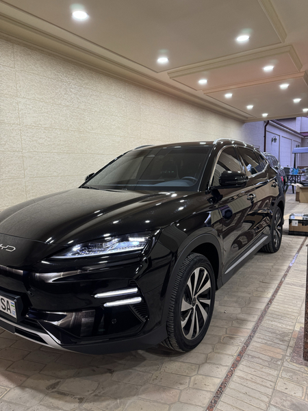 Byd chempion 604 honor 2024
