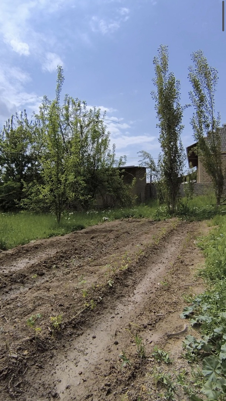 Yangi yo'l tumanida yer sotiladi