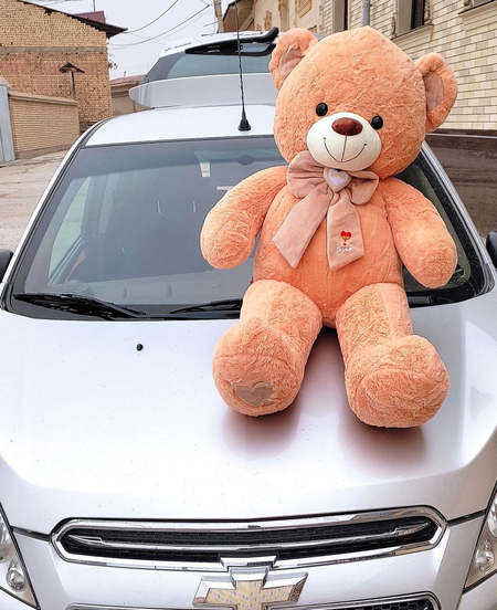 Teddy va boshqa yumshoq oʻyinchoqlar