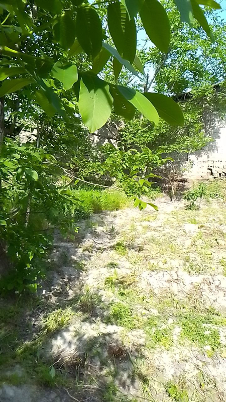 Uy sotiladi srochna 40 sotix