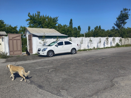 Дала ховли сотилади