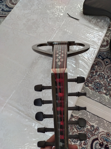 Ud (oud) electro