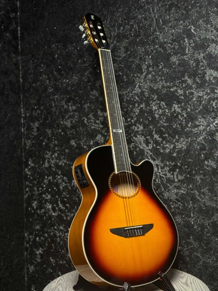 (MUSIC BRAND) Tagima Gitara