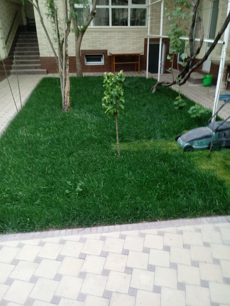 Gazon ekamiz, archa kesamiz, palif qilamiz