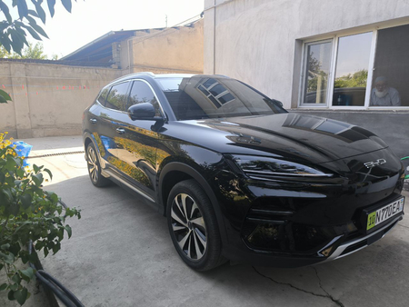 BYD чемпион 2023