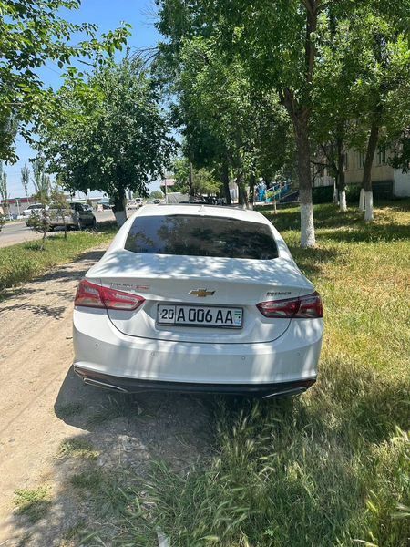 Malibu 2 Primer 2020