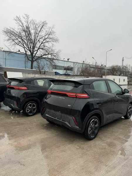 BYD Seagull 405km