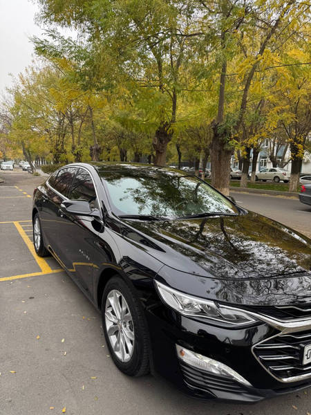 Malibu premier 2020 yil