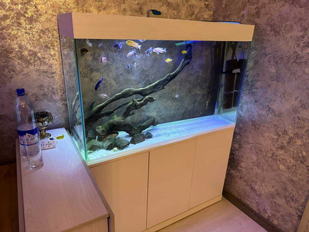Akvarium sotiladi (аквариум)