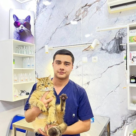 Уй хайвонлари учун малакали ветеринария хизмати