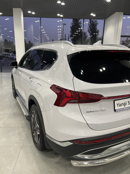 Hyundai Santafe palisad tucson sonata elantra