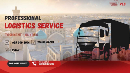 Professional logistic servis
