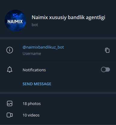 Telegram bot yashash xizmati 500 mingdan boshlab