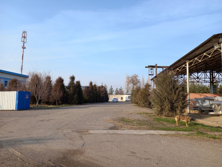 Продам 5 га под парк, развлекательный центр