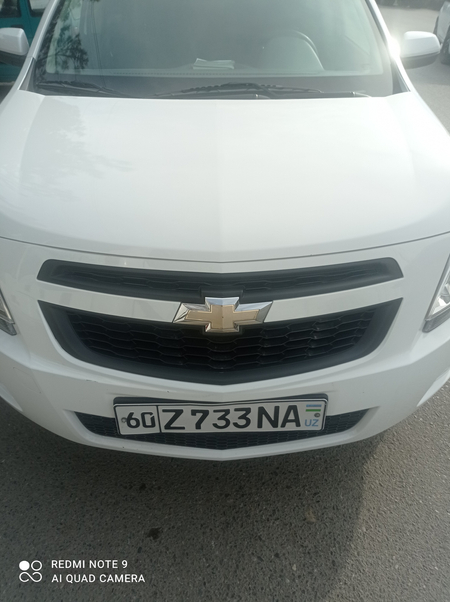 Arzon cobolt olib qolilar