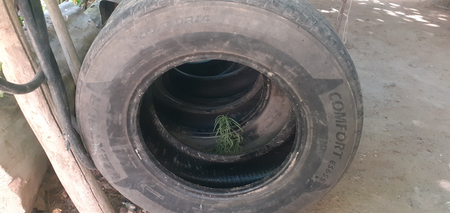 Balon 4ta kelishiladi