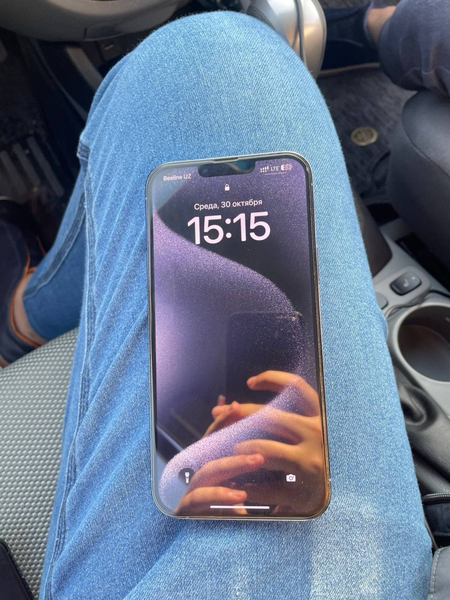Iphone 13 Pro Max Ideal