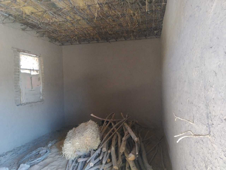 No'kis qalasi, ippodromda 2 xanali jay satiladi