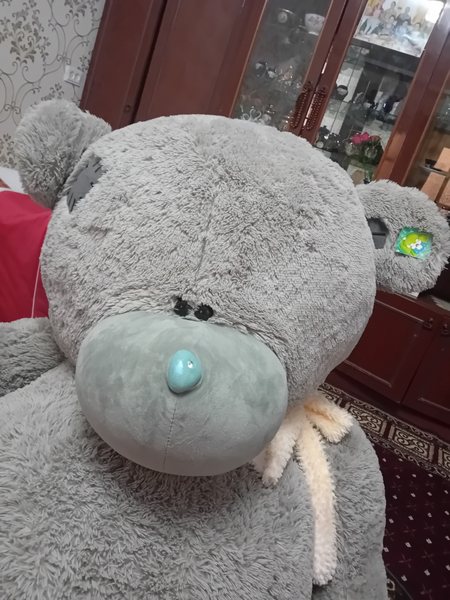 Yangi Teddy sotiladi