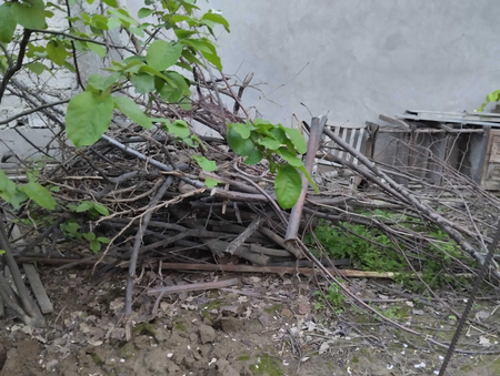 Продам дрова, старые двери на дрова,1 камаз