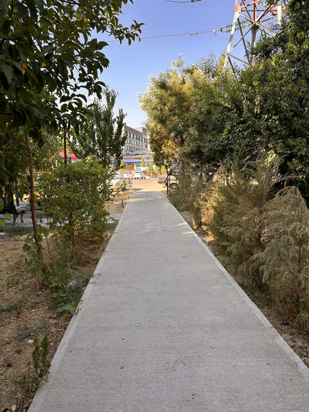 Uch tepa gulzorda arendaga beriladi