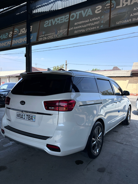 Carnival 2019 turbo