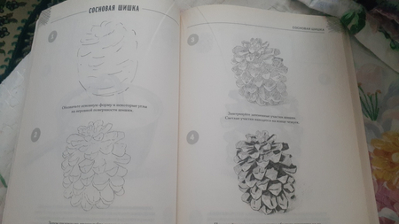 Учебник для эскизов