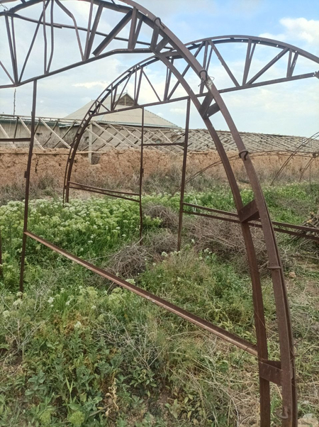 Limonariya tiplitsaga firmalar sotiladi temiri
