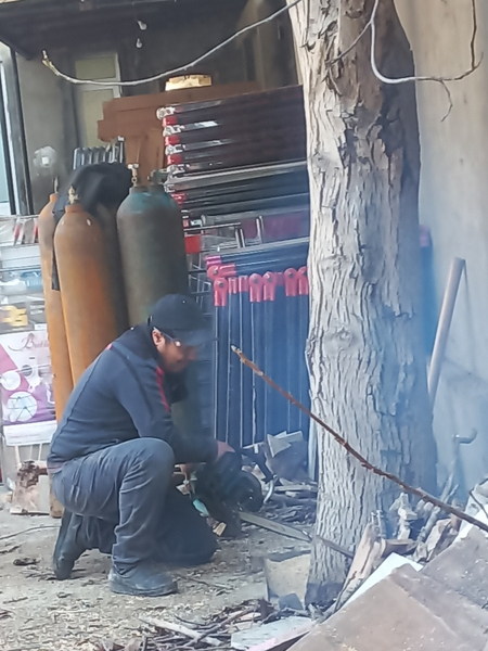 Daraxt  kesish xizmati
