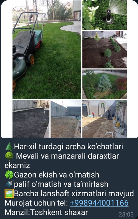 Gazon ekish uruqdan chiqarish kvadirati 25000 dan  yer holatiga qarab.